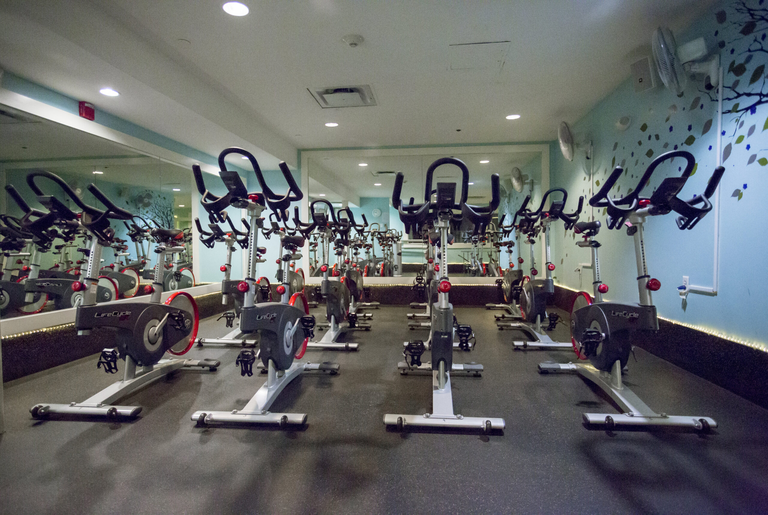 Exercise Bikes • Martha's Vineyard Hotel and Spa