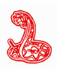 Poinciana Predators Youth Football & Cheerleading, Inc. - (Poinciana ...