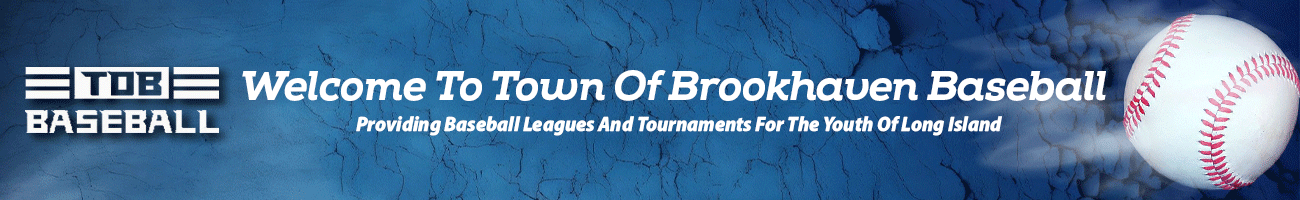 TOWN OF BROOKHAVEN BASEBALL - (Centereach, NY) - powered by ...