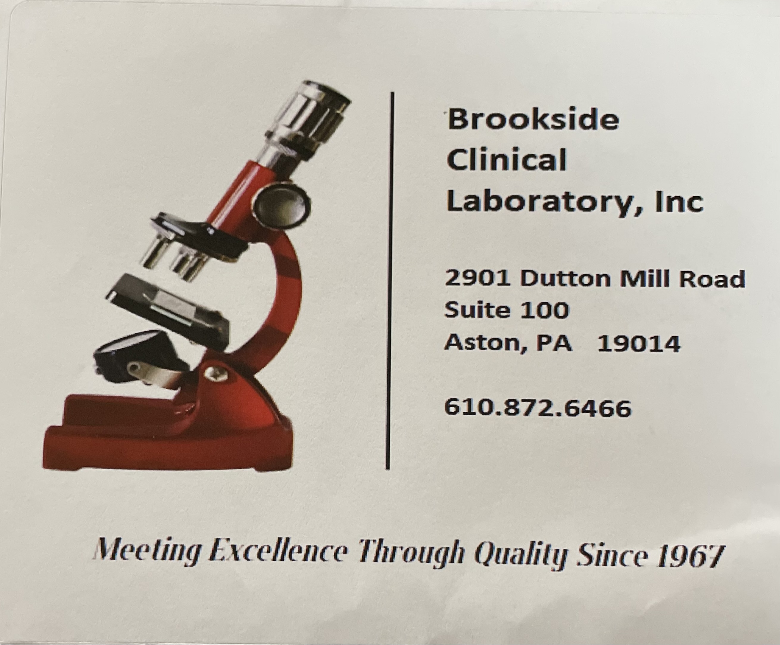 Brookhaven Girls Softball - (Brookhaven, PA) - powered by LeagueLineup.com