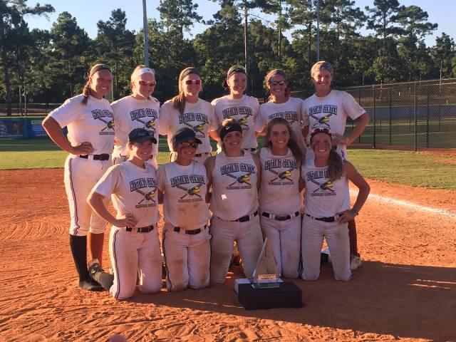 Hitting Center Fastpitch Softball - (Springfield, IL) - powered by ...