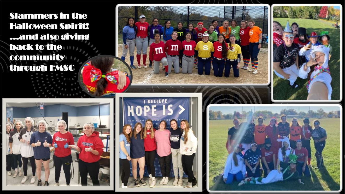 Lisle Slammers Fastpitch Softball !! - (Lisle, IL) - powered by ...