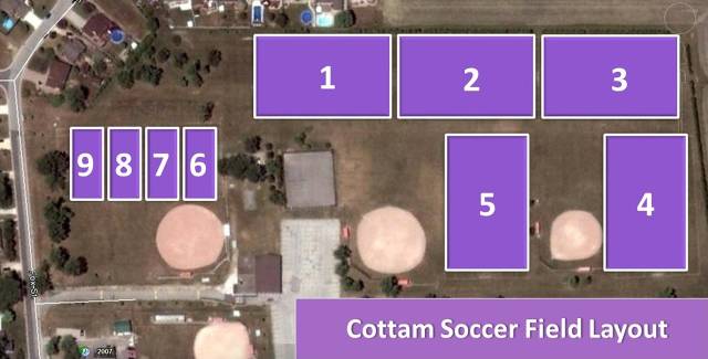 Cottam Soccer Association - (Cottam, ON) - powered by LeagueLineup.com
