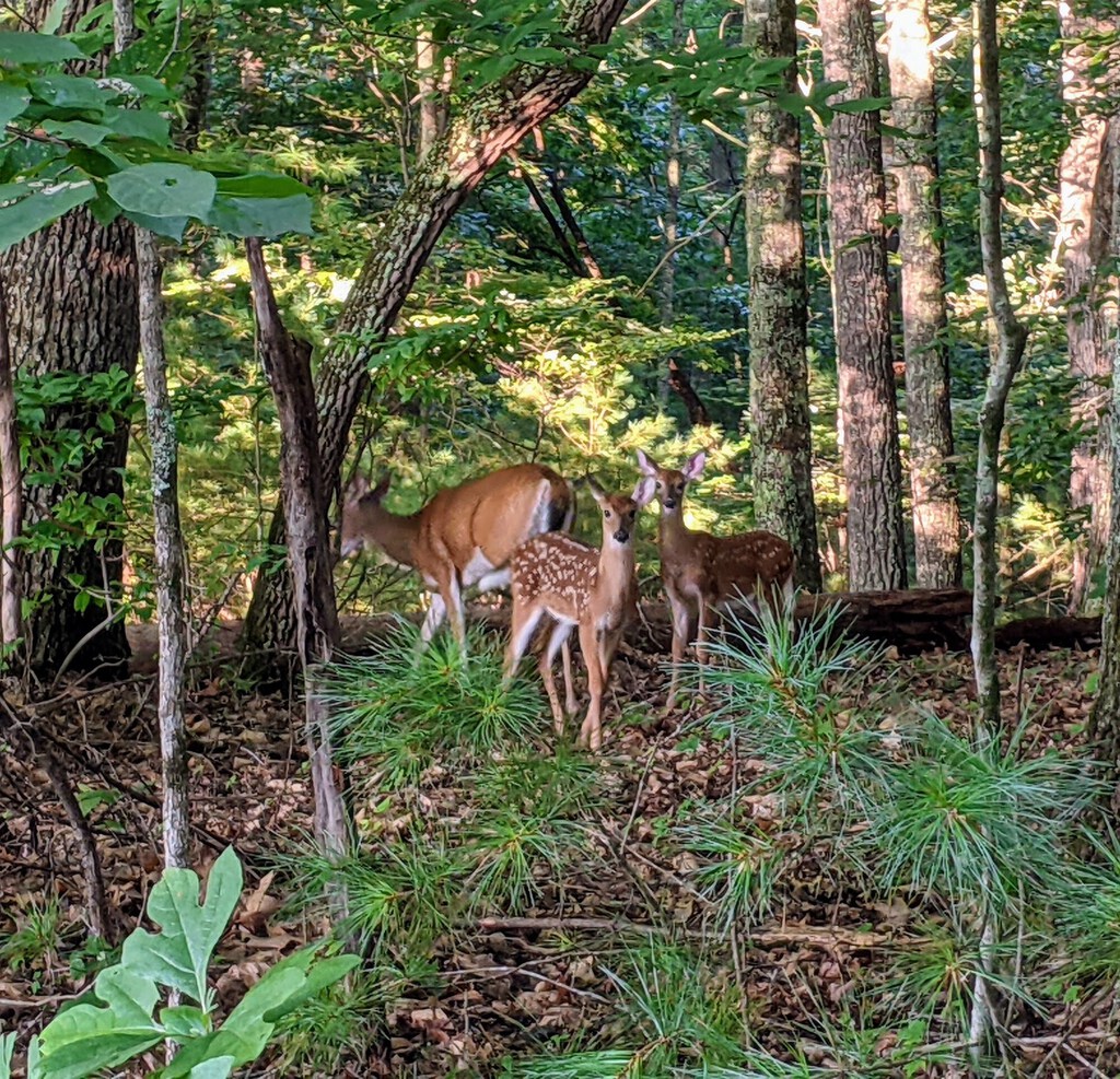 Christian Prayer Ministry Training & Sessions Offered - Basics to ...