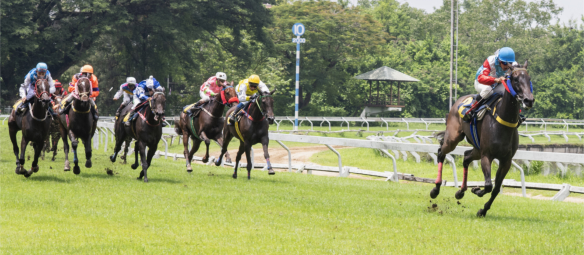 Race Rider Tack - Wagoner Oklahoma