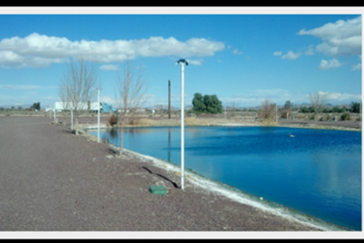 Newberry Mountain RV and Motel Park