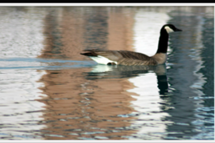 Newberry Mountain RV Park and Motel