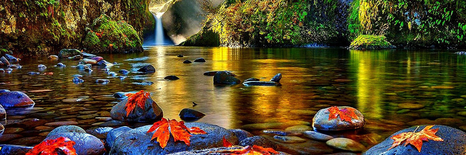 Biblical Talks with Elder Michael Tolliver