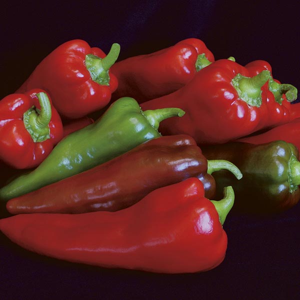 Italian Sweet Pepper Varieties