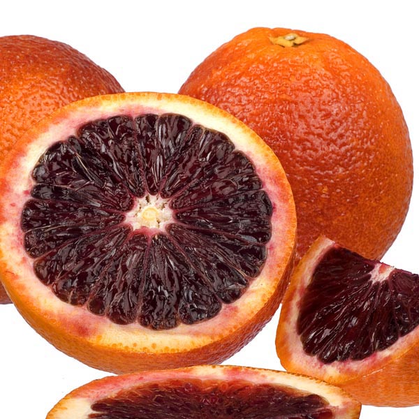 Blood Orange 'Moro' (Citrus sinensis) | My Garden Life