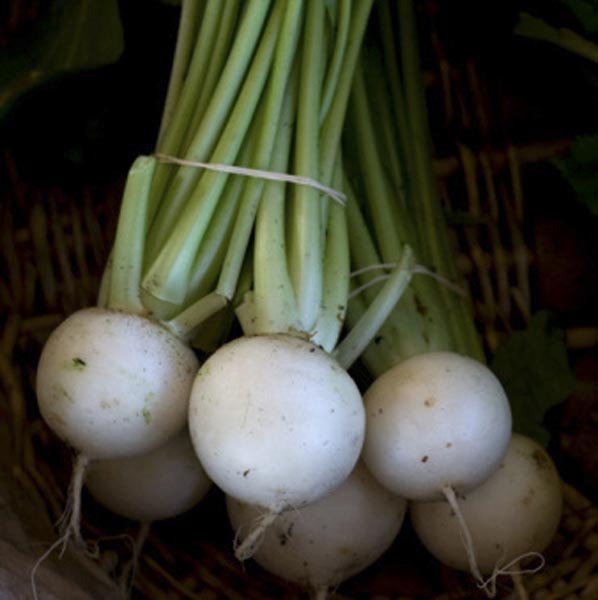 White Turnips