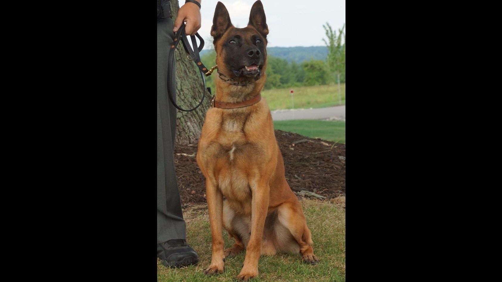 Pickaway County Sheriff's Office
