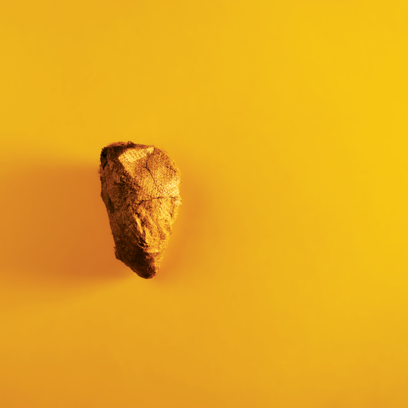 cocoon - Subba-Cultcha