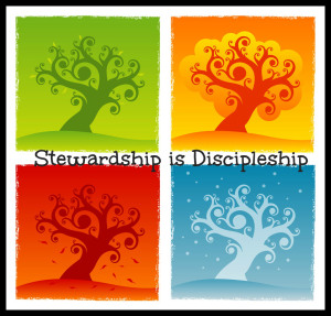 The Pulse of Generosity:Vital signs of a Healthy Steward - Presbytery ...