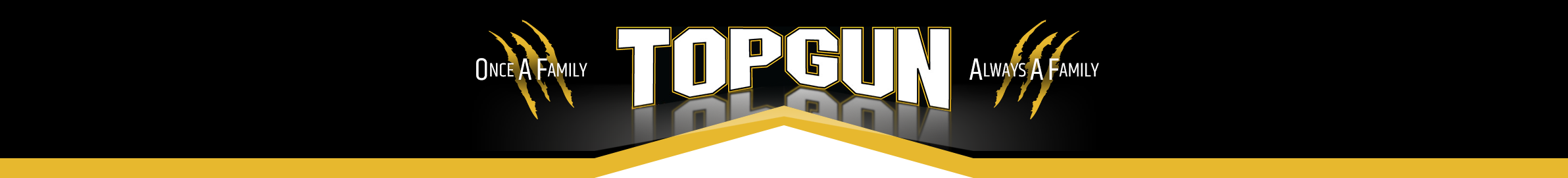 Top Gun Cheerleading & Dance Training Center