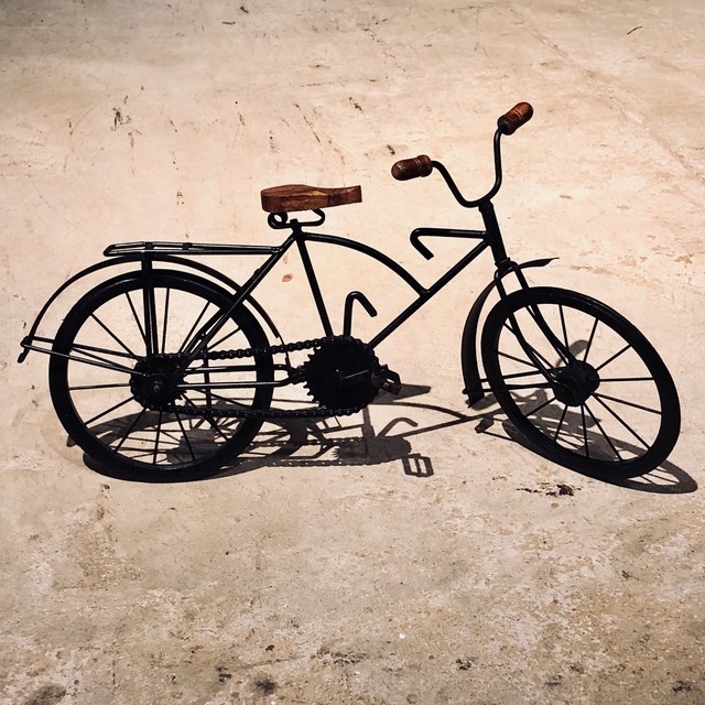 Iron Bicycle - Nadeau Chicago