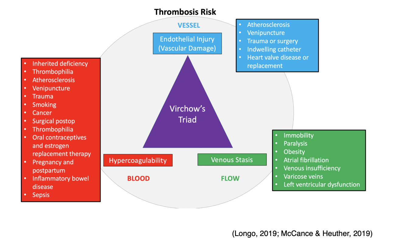 Blood Clotting and Bleeding Disorders for APRNs Nursing CE Course ...