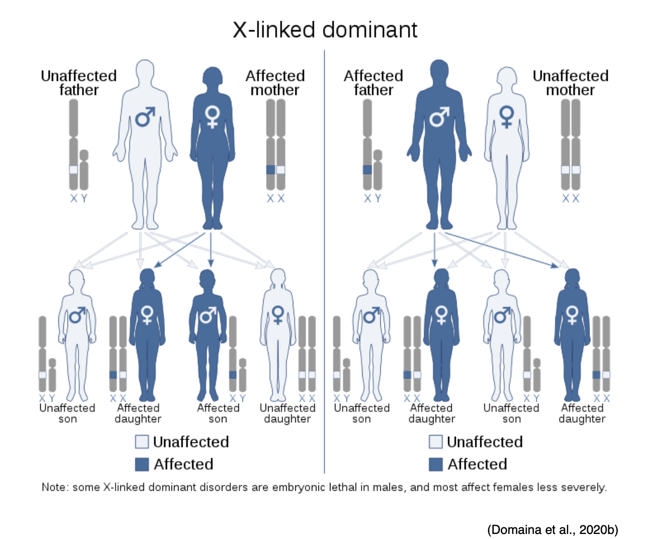Blood Clotting and Bleeding Disorders for APRNs Nursing CE Course ...