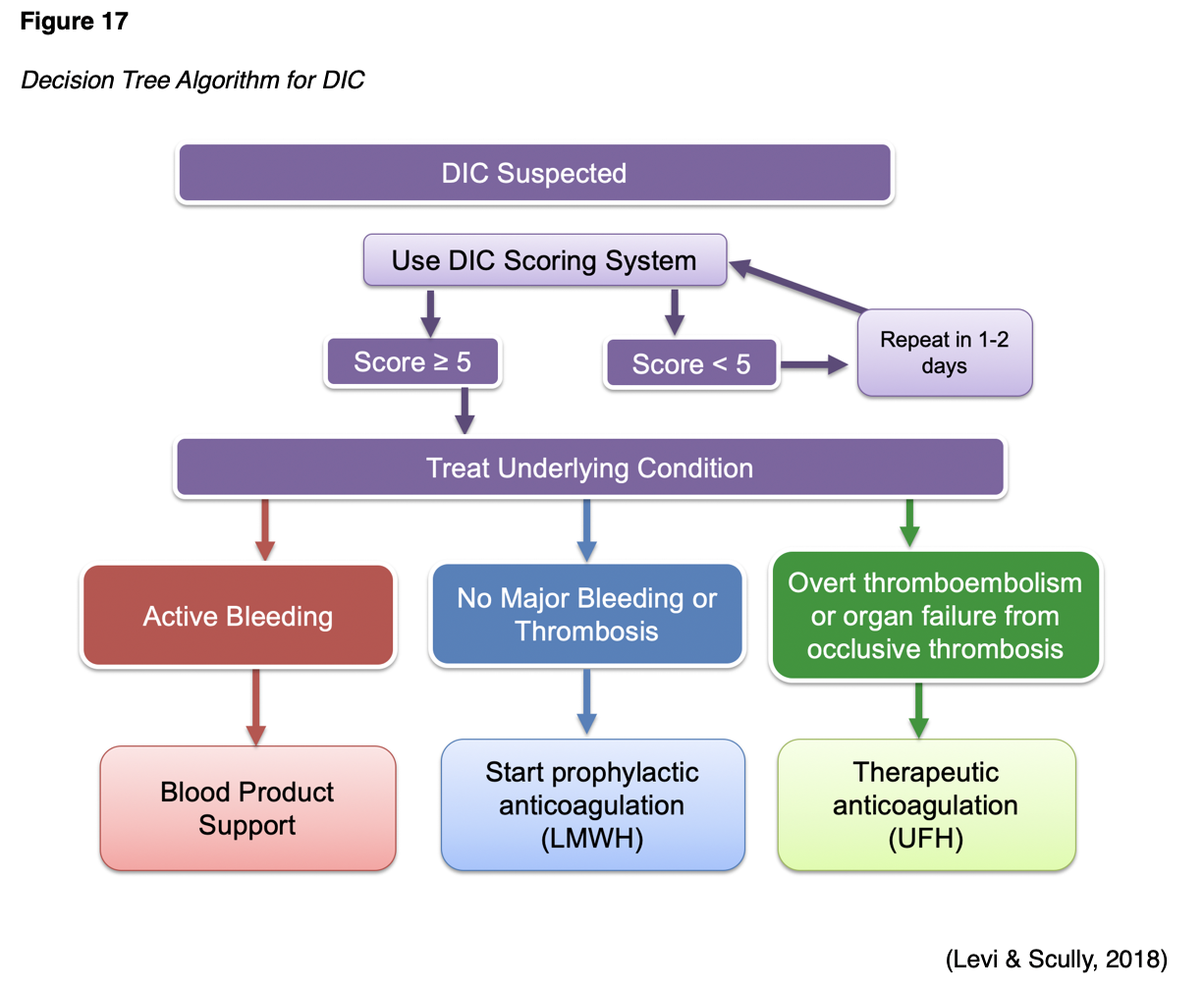 Blood Clotting and Bleeding Disorders for APRNs Nursing CE Course ...