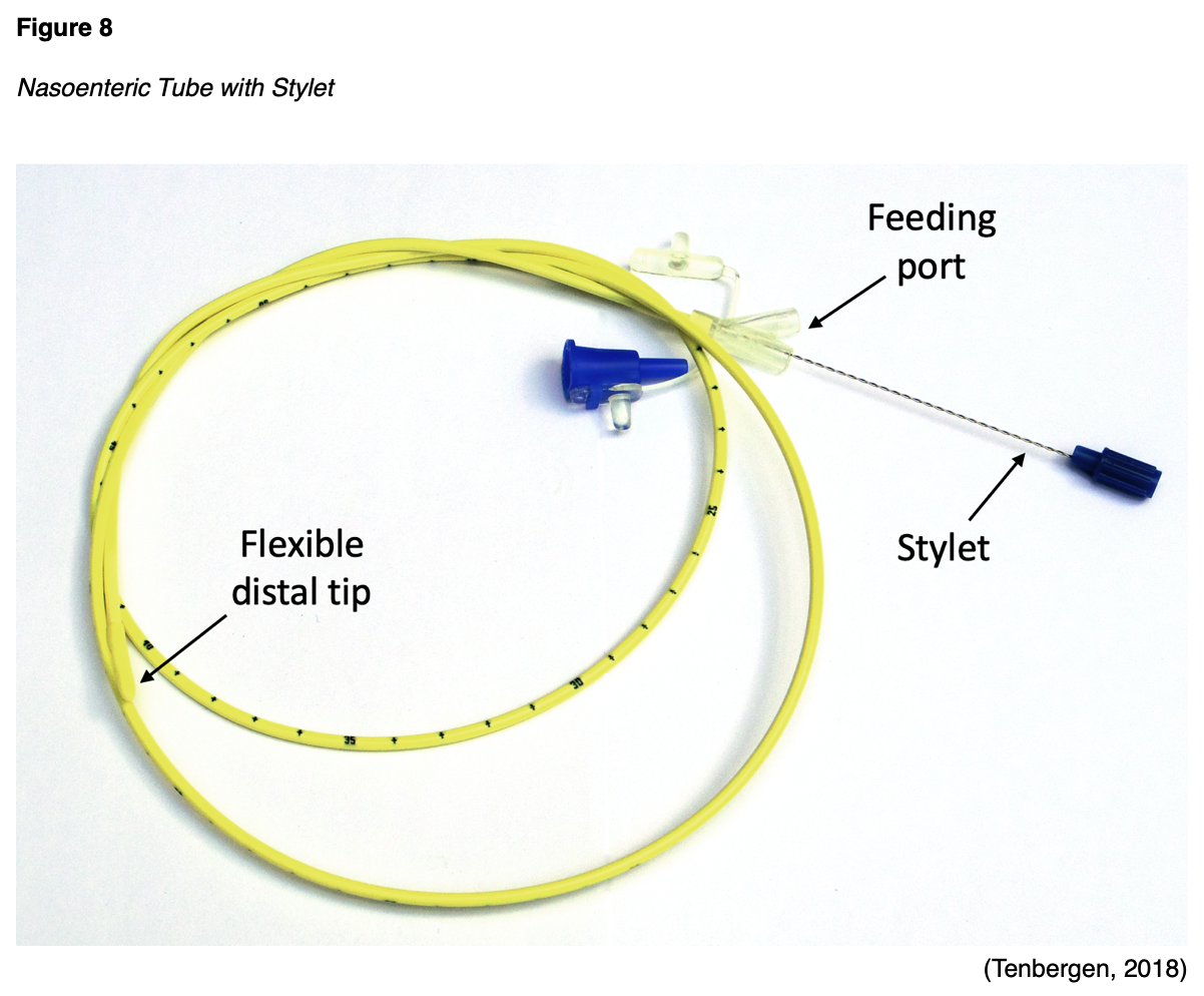 Nutritional Support in Critical Illness: Enteral and Parenteral ...
