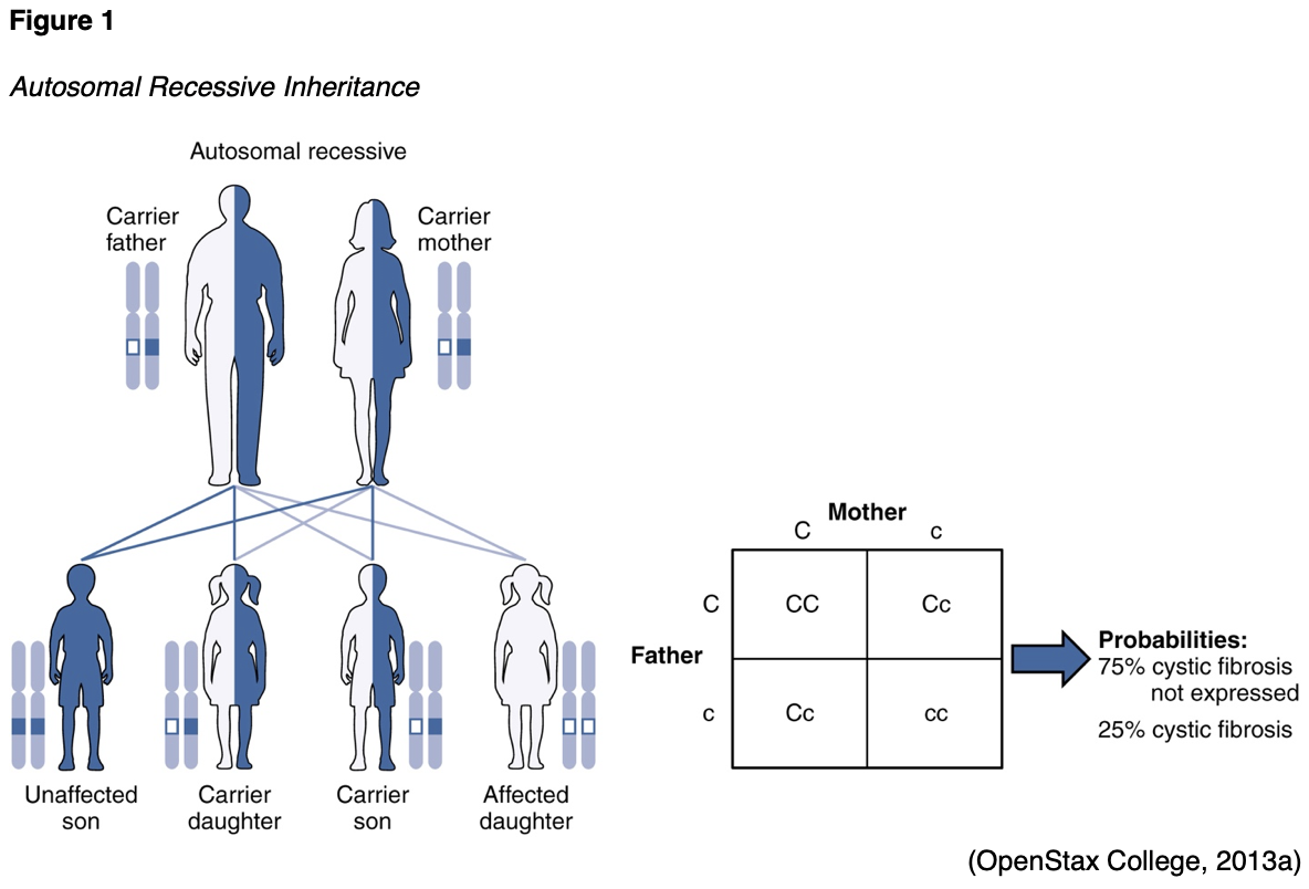 Cystic Fibrosis for APRNs Nursing CE Course | NursingCE