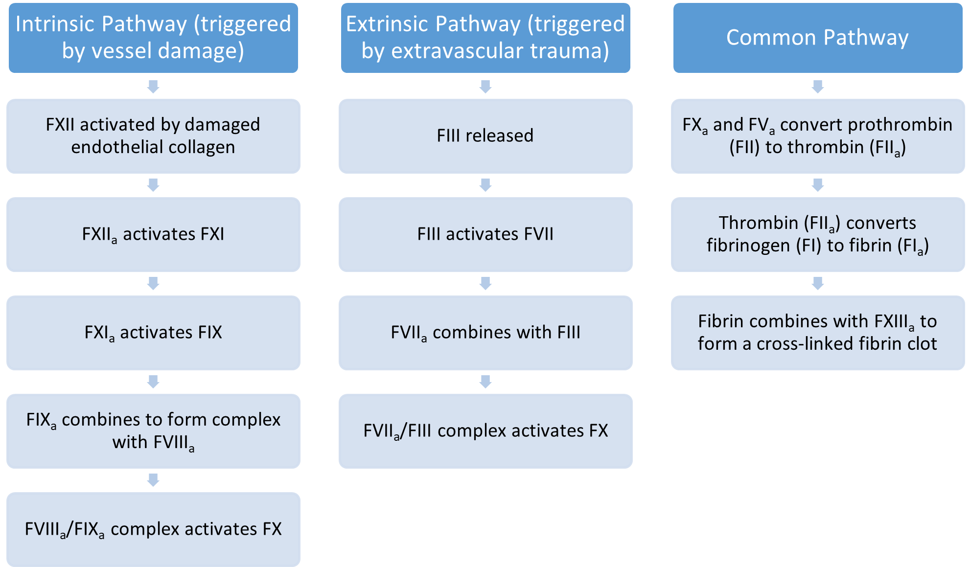 Bleeding and Clotting Disorders Nursing CE Course for APRNs | NursingCE