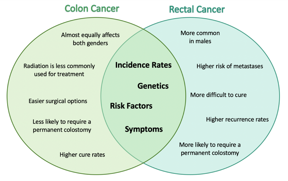 Colorectal Cancer Nursing CE Course for APRNs | NursingCE