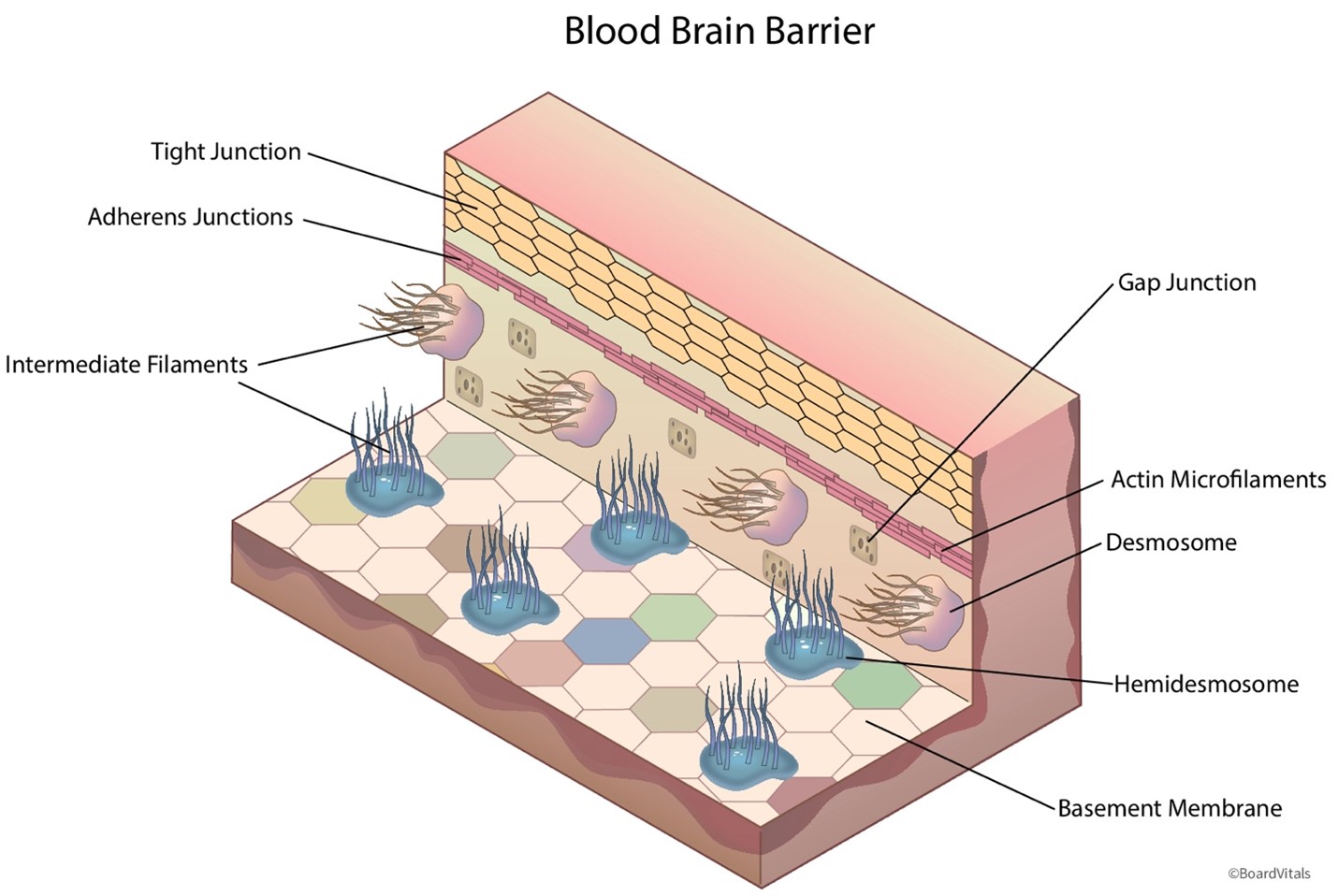 Introduction to Pharmacotherapeutics Nursing CE Course for RNs and LPNs ...