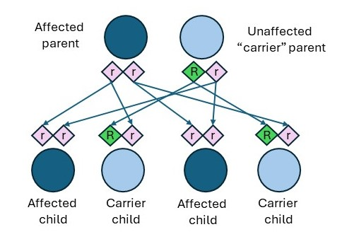 Cystic Fibrosis Nursing CE Course for RNs and LPNs | NursingCE