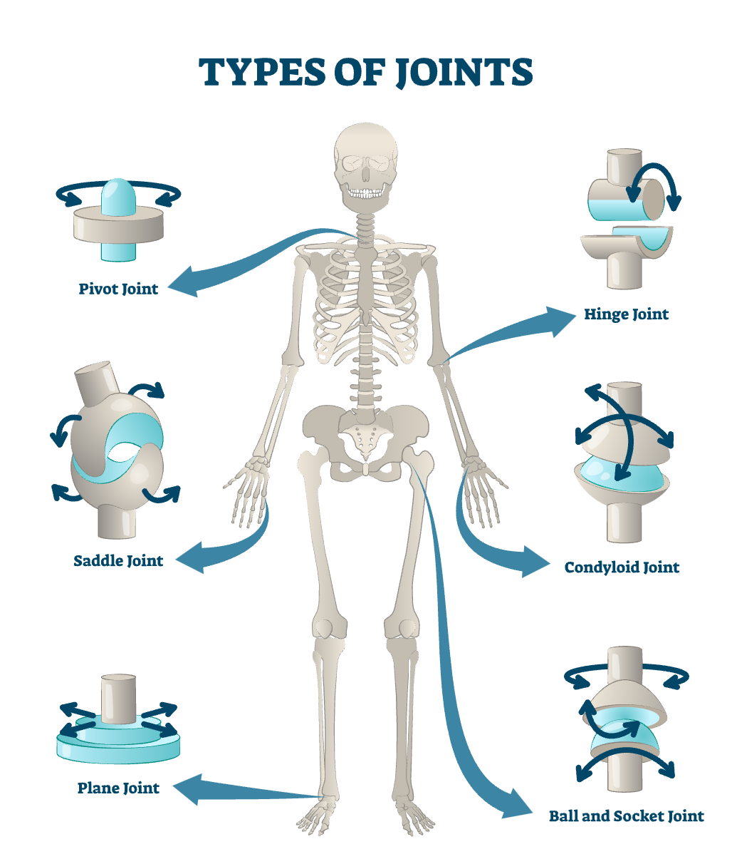Arthritis Nursing CE Course for APRNs | NursingCE