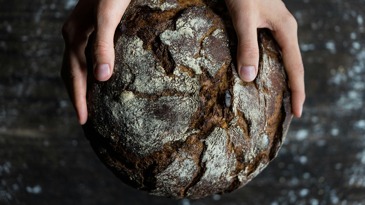 Jesus: The Bread of Life | Needmore Road Church of Christ