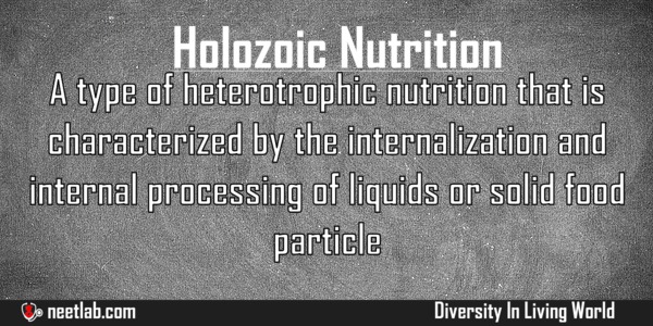 Holozoic Nutrition - NEETLab