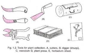 Tools for study of taxonomy - NEET Lab