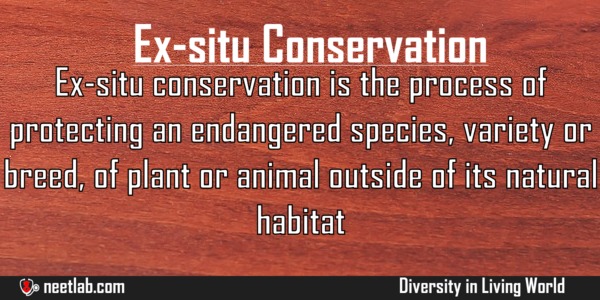 Ex-situ Conservation - NEETLab