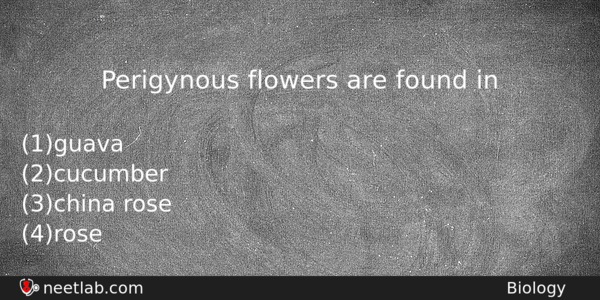 Perigynous flowers are found in - NEETLab