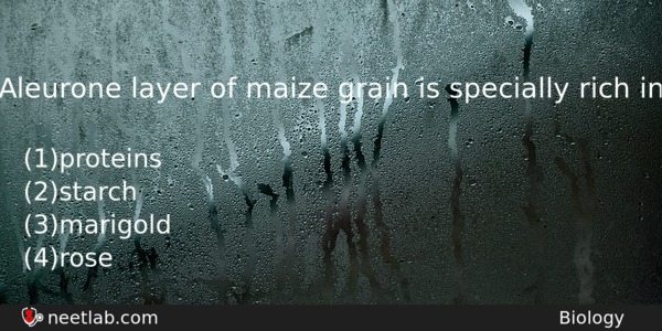 Aleurone layer of maize grain is specially rich in - NEETLab