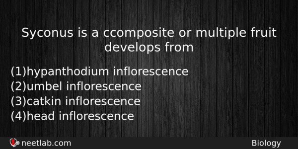 Syconus is a ccomposite or multiple fruit develops from - NEETLab