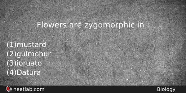 Flowers are zygomorphic in : - NEETLab