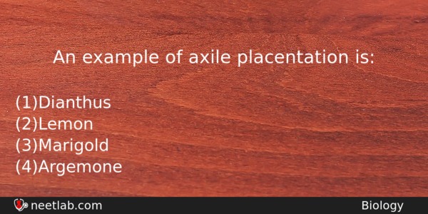 An example of axile placentation is: - NEET Lab