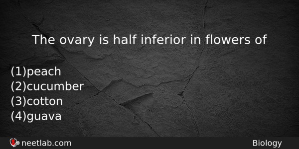The ovary is half inferior in flowers of - NEET Lab