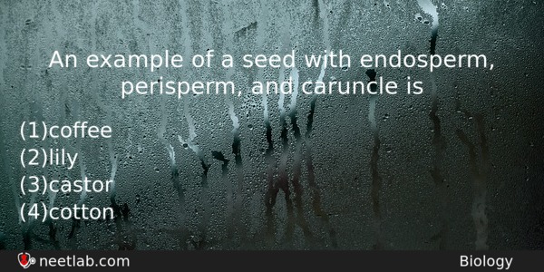 An example of a seed with endosperm, perisperm, and caruncle is - NEET Lab