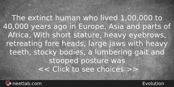 The extinct human who lived 1,00,000 to 40,000 years ago in Europe ...