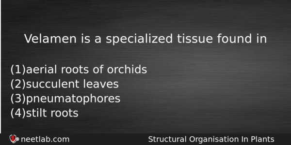 Velamen is a specialized tissue found in - NEETLab