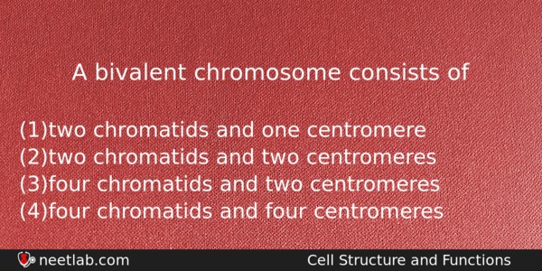 A bivalent chromosome consists of - NEETLab