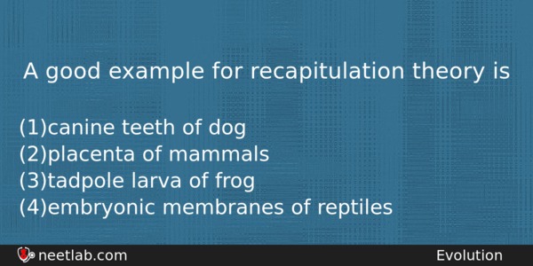 A good example for recapitulation theory is - NEET Lab