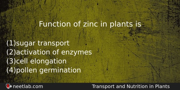 Function of zinc in plants is - NEET Lab