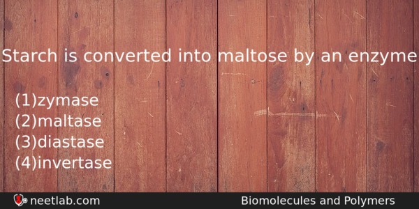 Starch is converted into maltose by an enzyme - NEETLab