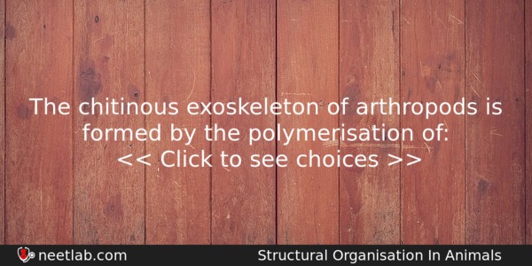 The chitinous exoskeleton of arthropods is formed by the polymerisation ...