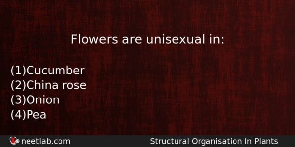 Flowers are unisexual in: - NEETLab