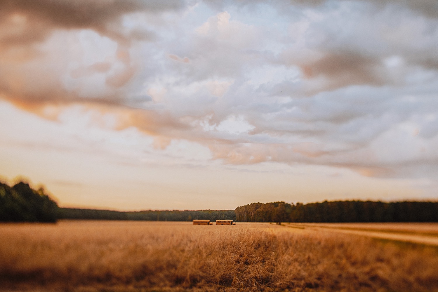 Woodlawn Farm Wedding Pictures on the Coast of Maryland